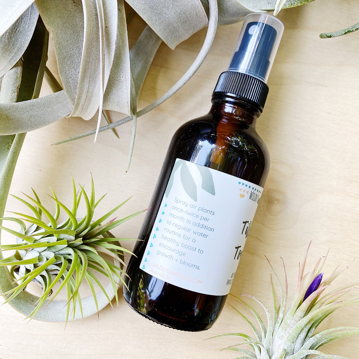 Tilly Tonic Air Plant Fertilizer Spray – Wildly Urban