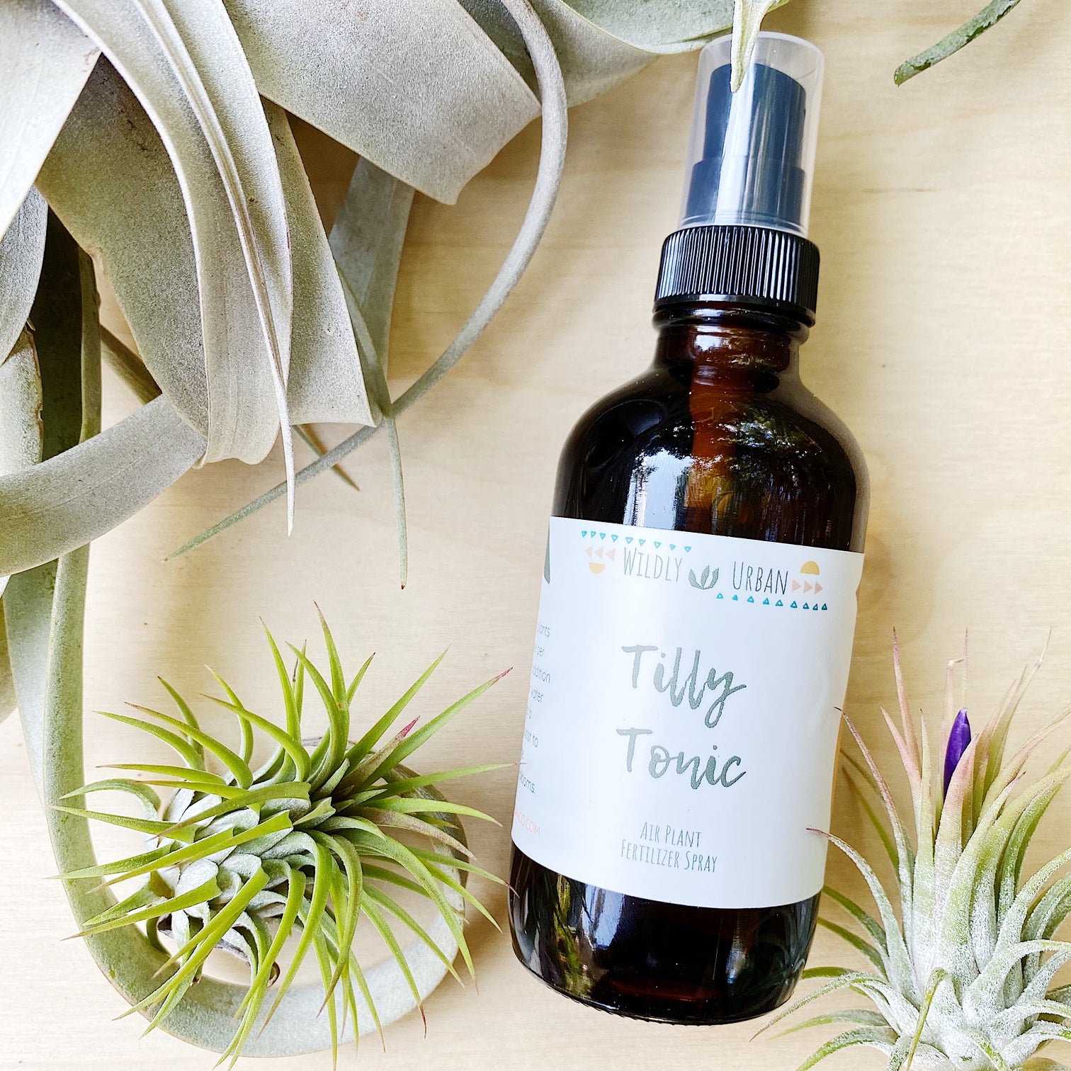 Tilly Tonic Air Plant Fertilizer Spray – Wildly Urban